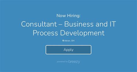 Consultant Business And It Process Development At Pyrovio
