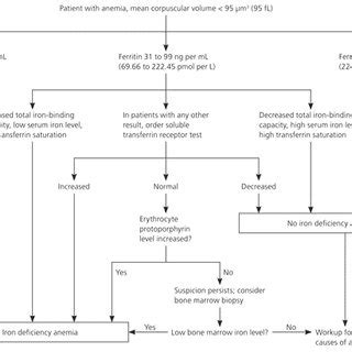 Diagnostic Algorithm For Iron Deficiency Anemia Download Scientific Diagram