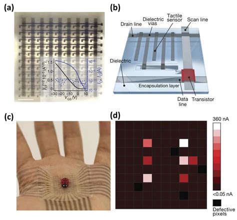 Recent Progress In Intrinsically Stretchable Sensors Based On Organic Field Effect Transistors