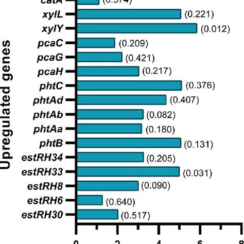 transcriptome analysis representing differentially expressed genes in