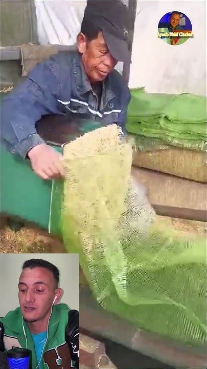 تغليف التبن Youtube