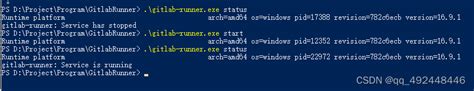 Windows 安装 Gitlab Runner Cicdwindows安装gitlab Runner Csdn博客