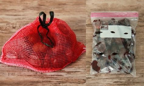 밤 보관법 생밤 오래 벌레생기지 않게 보관하는법 총정리 네이버 블로그