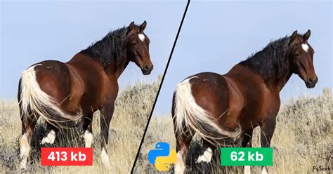 How To Compress An Image Using Python A Detailed Guide