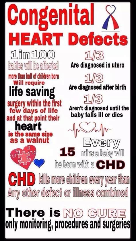 Chd Heart