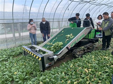 闵行区举办蔬菜“机器换人”现场观摩会