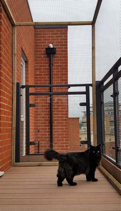 Cat Proof Balconies Cat Fence And Catio Specialists Sanctuary Sos