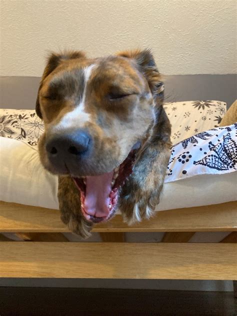 Charlie Mac Thinks You Re Hilarious R Eyebleach