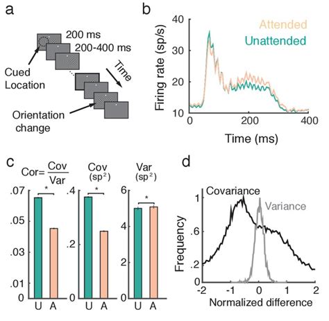 Figures And Data In Attentional Modulation Of Neuronal Variability In Circuit Models Of Cortex