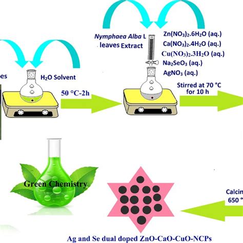 Biosynthesis Schematic Of The Nanocomposite Download Scientific Diagram