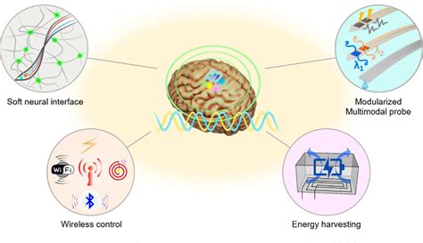 Soft Wireless Optogenetic And Hybrid Implants For Advanced Neural Interfacing Semantic Scholar
