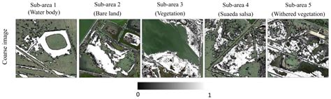 fuzzy geospatial object based membership function downscaling