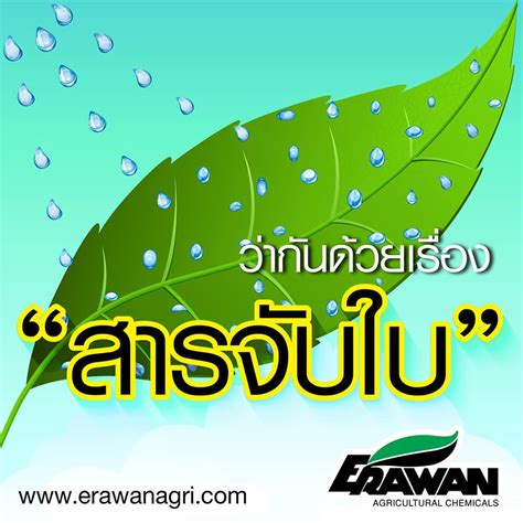 ว่ากันด้วยเรื่อง บริษัท เอราวัณเคมีเกษตร จำกัด