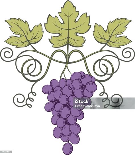 Ilustración De Racimos De Uvas Imagen Y Más Vectores Libres De Derechos De Abstracto Abstracto
