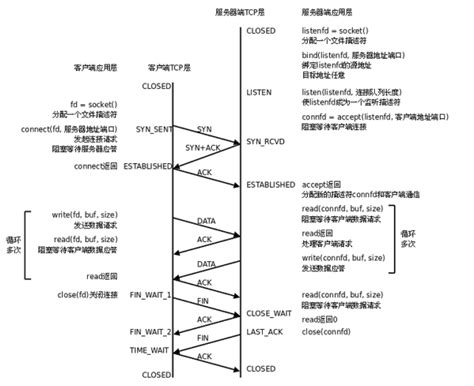 tcp协议 网络 csdn博客