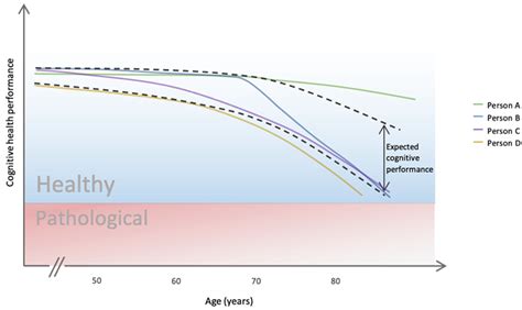 A Subtype Perspective On Cognitive Trajectories In Healthy Aging