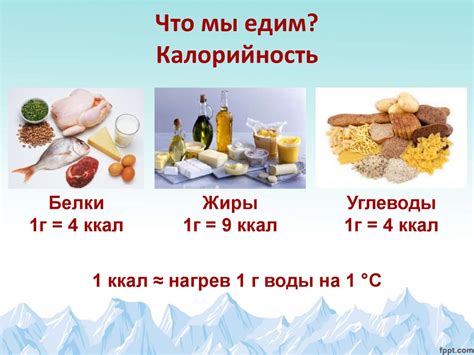 Питание в горах. Общие принципы, понятия и определения - online ...