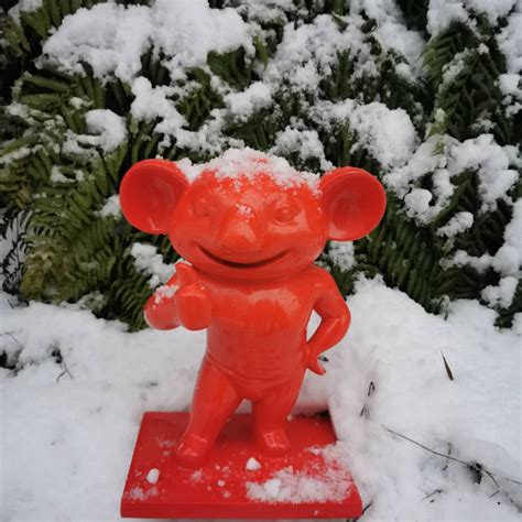 Classic Cool Koala Cool Koala Australia