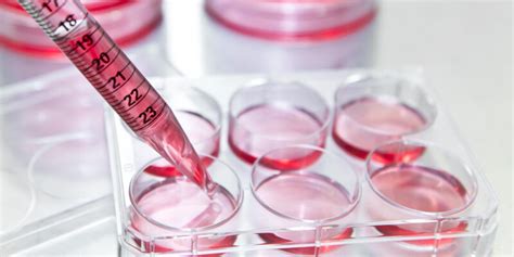 Cell Culture Media For Stem Cells And Ips Cells Nippon Genetics Europe