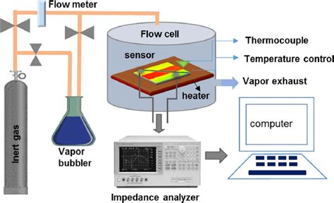 Schematic Of Experimental Setup Not To Scale Download Scientific