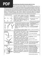 Fases Fenológicas Del Trigo Según Zadoks Pdf
