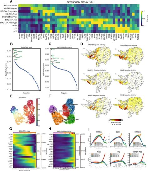 单细胞和空间转录组学揭示了idh分层胶质瘤微环境中不同的肿瘤 Tam相互作用 知乎