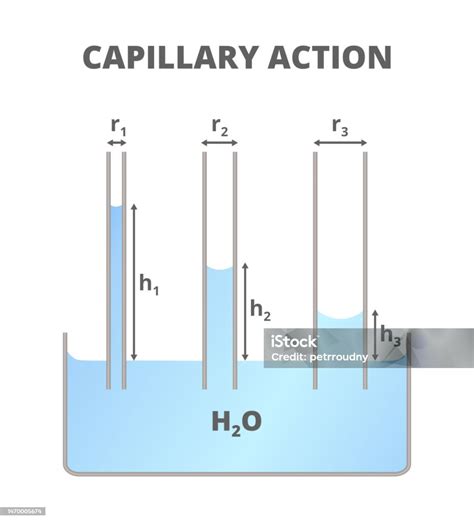 Water Cohesion Diagram