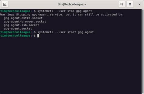 How To Fix Gpg Decryption Failed No Secret Key Techcolleague