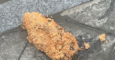 엄청 친절하시고 꼼꼼하고 빠르게 처리해주셨어요 숨고 숨은고수