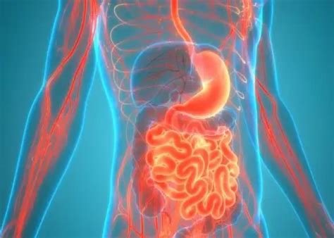 Abdominal Aortic Aneurysm Dm3s