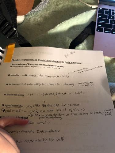 Lifespan Exam 4 Ch 11 Flashcards Quizlet