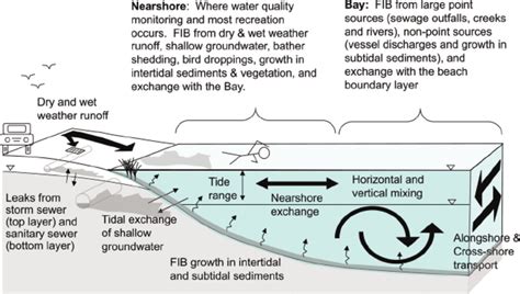 A Beachshed” For Fecal Indicator Bacteria At An Enclosed Beach Download Scientific Diagram