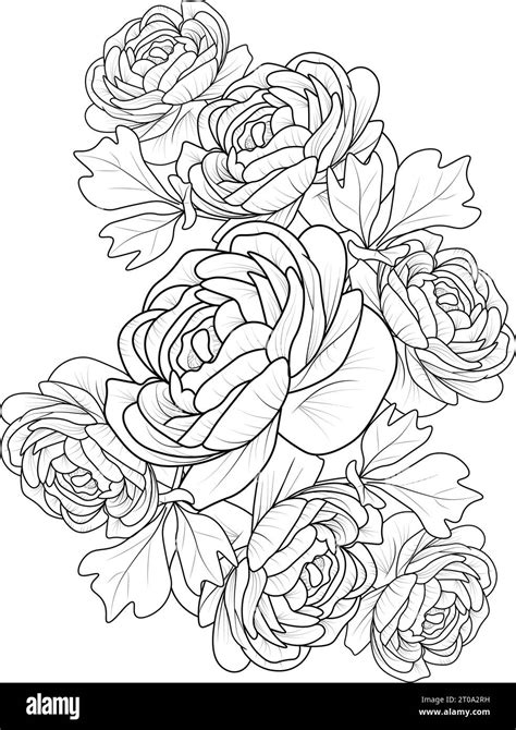 Ranunculus Flower Bouquet Of Vector Sketch Hand Drawn Illustration