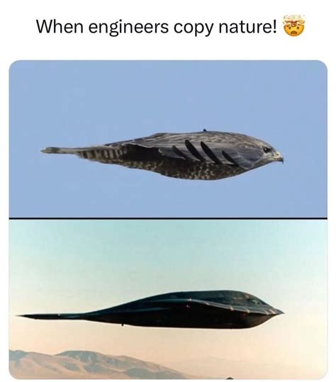 Engineers Album On Imgur