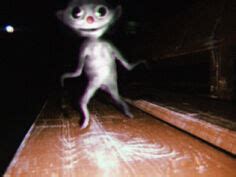 Nurpo Wiki Creepypasta Fandom