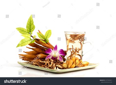 Sex In Plants Images Stock Photos Vectors Shutterstock