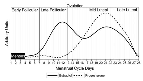 Progesterone Levels During Menstrual Cycle Chart Ponasa