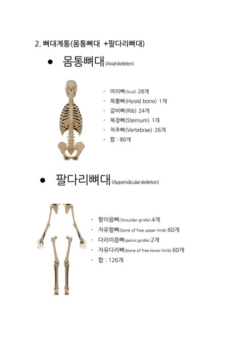의대생 한의대생이 쉽게 정리한 필수해부학 골학 크몽