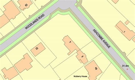 How Mapping Can Enhance Tree Management And Preservation