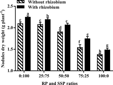 Interactive Effect Of Phosphorus Source Ratios And Rhizobium On Nodules