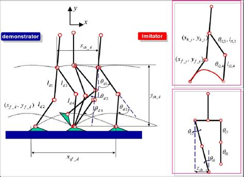 A Trajectories Of Biped Locomotion B Kinematic Schematic Of Download Scientific Diagram