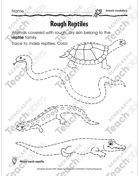 Rough Reptiles Science Printable Skills Sheets Worksheets Library