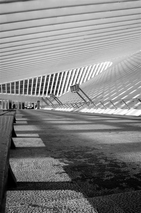 무료 이미지 검정색과 흰색 건축물 화이트 햇빛 유리 건물 수송 선 검은 단색화 검정 흰색 벨기에 윤곽 출발 기둥 대칭 갱도 기차역 모양