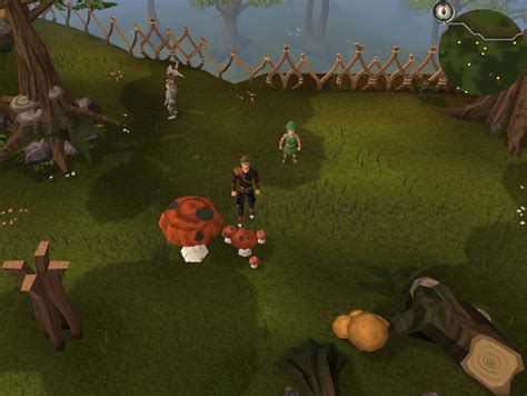 Fileclue Scroll Easy Dig Near Some Giant Mushrooms Behind The Grand Treepng The Fileclue Scroll Easy Dig Near Some Giant Mushrooms Behind The Grand Treepng The