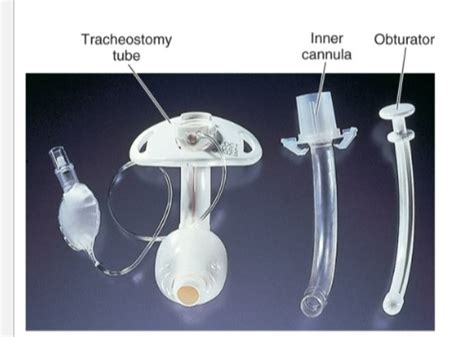 Chest Tube Trach Ws Quiz Flashcards Quizlet
