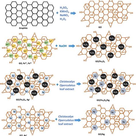 Synthesis Scheme Of The Materials Download Scientific Diagram