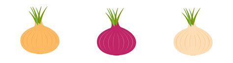 양파 익은 전구와 녹색 새싹 아이콘 세트 라인 붉은 노란색 색상입니다 야채 컬렉션입니다 신선한 농장 건강 식품 아이들을위한 교육 카드 플랫 디자인 흰색 배경입니다 격리
