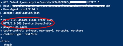 Misleading Cors Errors Dev Notes