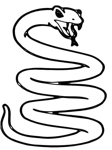 Serpente Da Colorare 21 Disegni Da Colorare