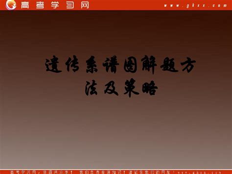江西省井冈山中学高二生物5 3《遗传系谱图解题策略》 2 课件 人教版 必修2 Word文档在线阅读与下载 无忧文档